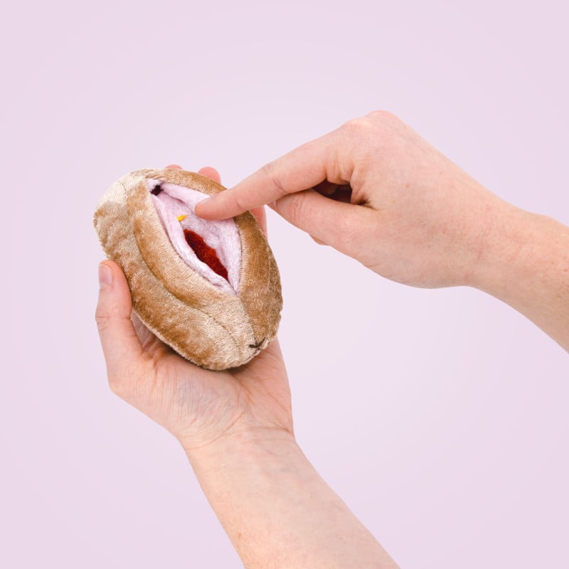 Vulve en peluche à louer | Education sexualité | Bivea