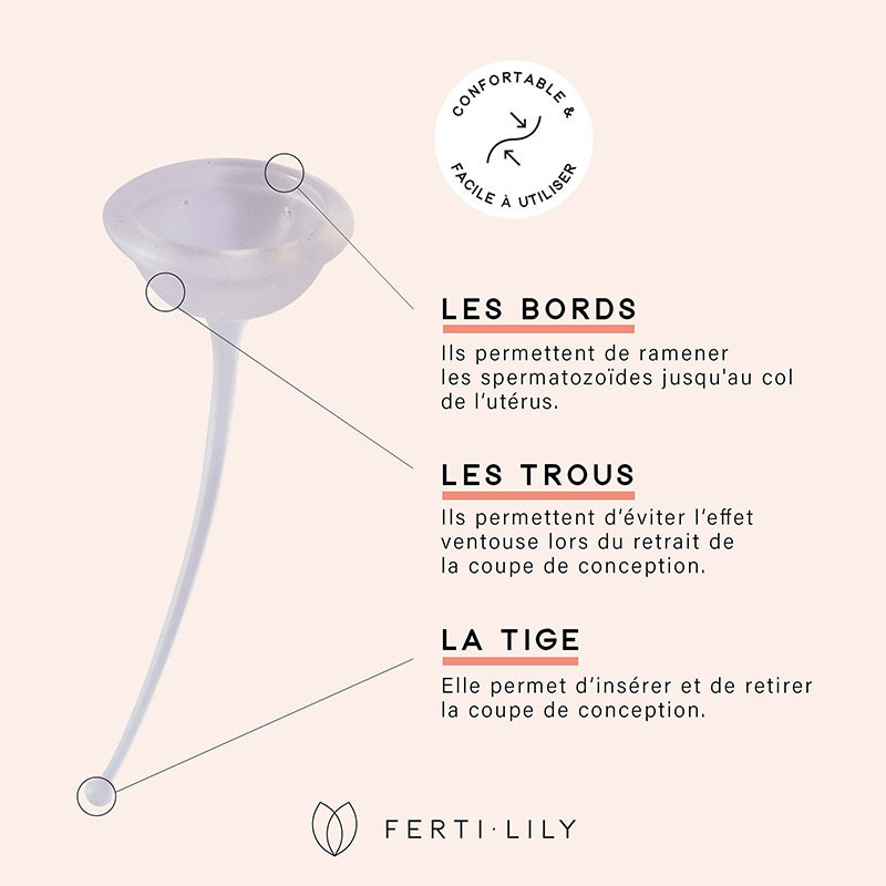 FERTI-LILY Coupe de fertilité | Aide pour concevoir un bébé | Bivea