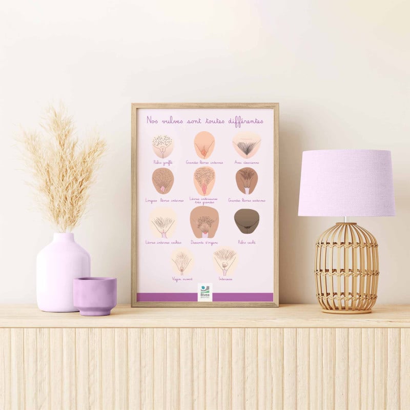 Poster Illustrations De Différentes Formes De Vulves Bivea