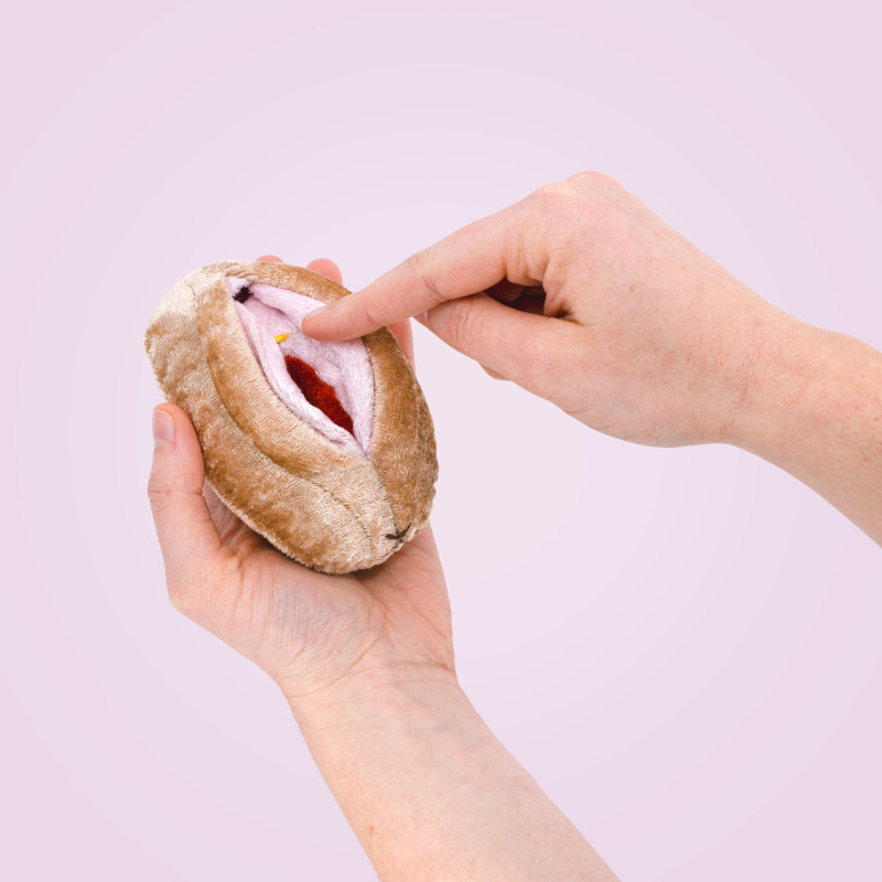 Modèle anatomique Vagin + Vulve en peluche petit | Bivea